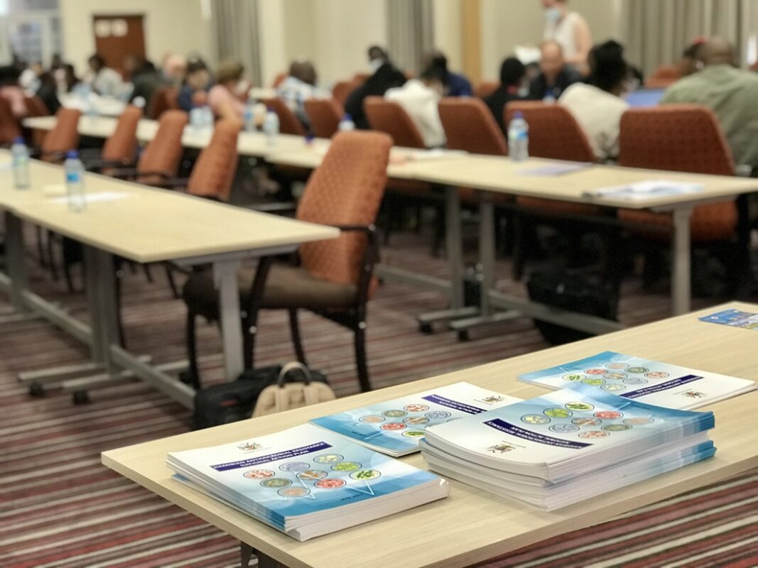 National AMR Stakeholder Meeting & Workshop in Namibia - GHPP: Global ...