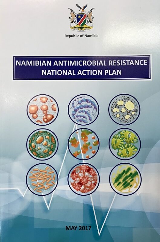 National AMR Stakeholder Meeting & Workshop in Namibia - GHPP: Global ...