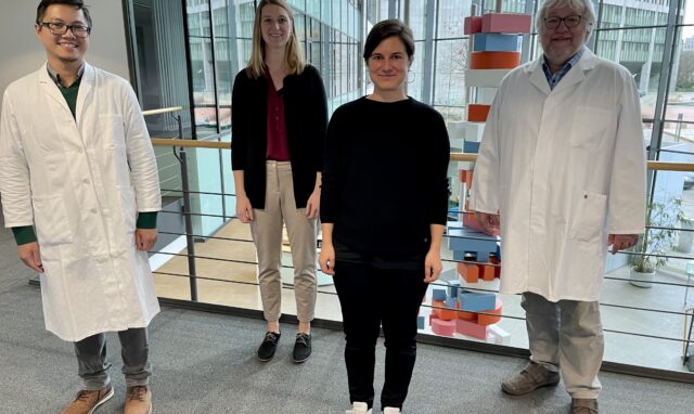 DQA and DQA PLUS - GHPP: Global Health Protection Programme